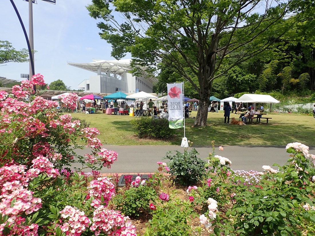 【町田市】野津田公園「ROSE FEST 2023 秋」を開催！約1400株・約450種類の秋のばらを見よう！！ | まちさが -町田＆相模原 ...